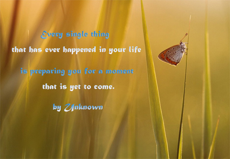 Every single thing that has ever happened in your life is preparing you ...