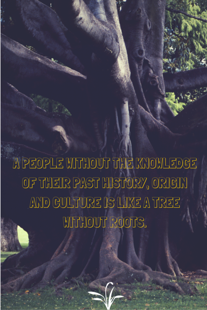A people without the knowledge of their past history, origin and ...