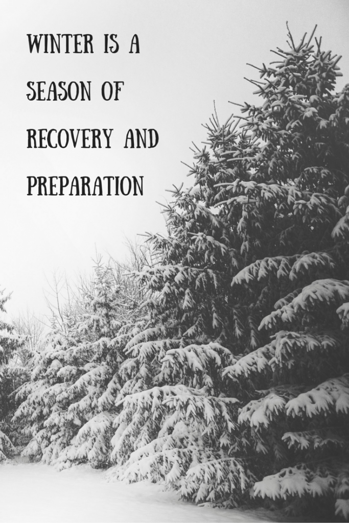 Winter is a season of recovery and preparation.